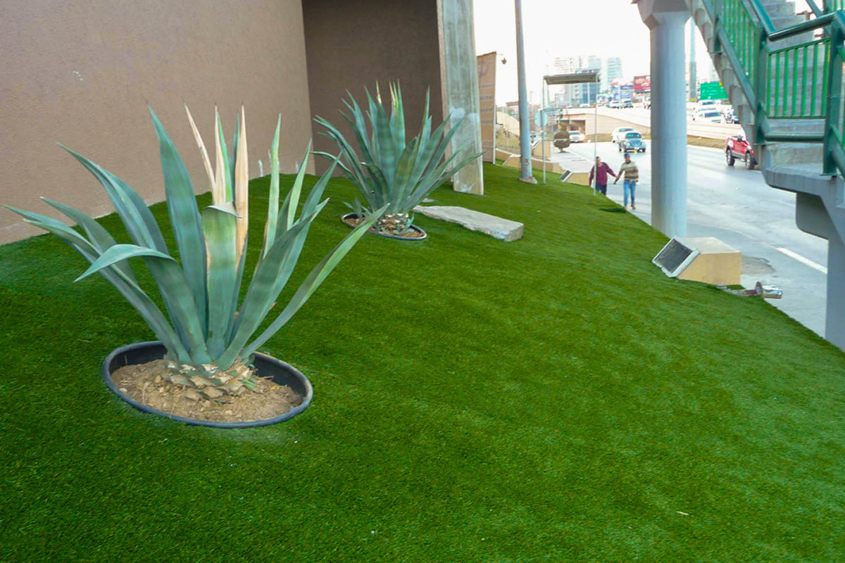 Pasto residencial, recreacional y paisajismo - RecreaSport